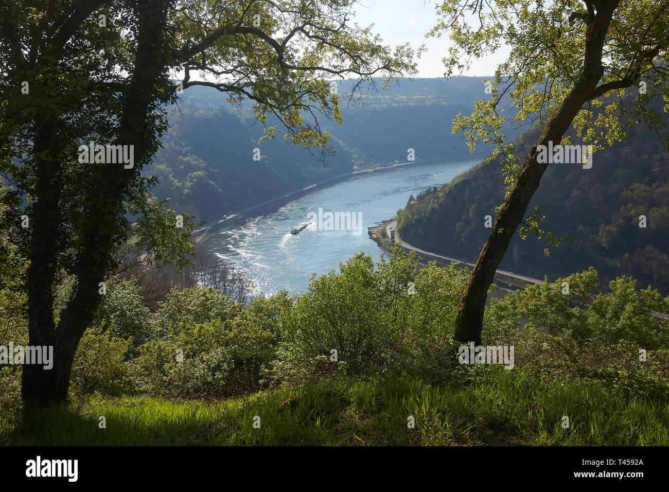 Rhine romanticism hi-res stock photography and images - Alamy