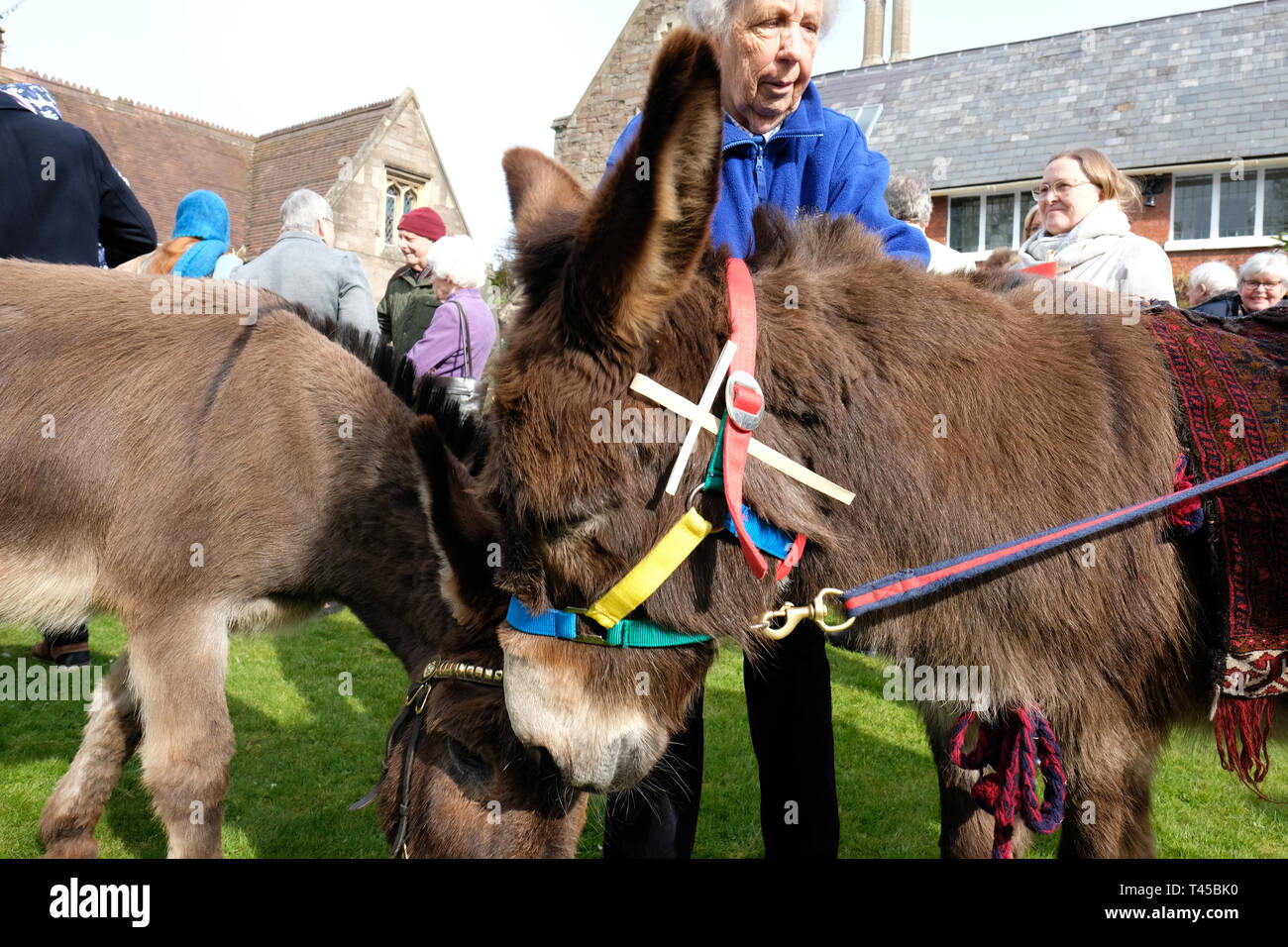 Jesus riding donkey hi-res stock photography and images - Alamy