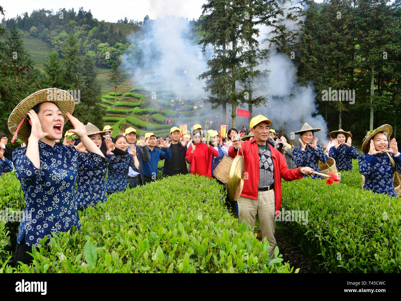 Tea garden fujian hi-res stock photography and images - Alamy