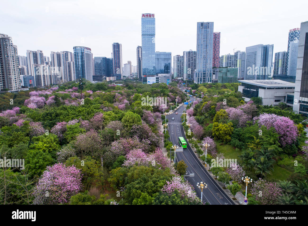 Liuzhou china hi-res stock photography and images - Alamy