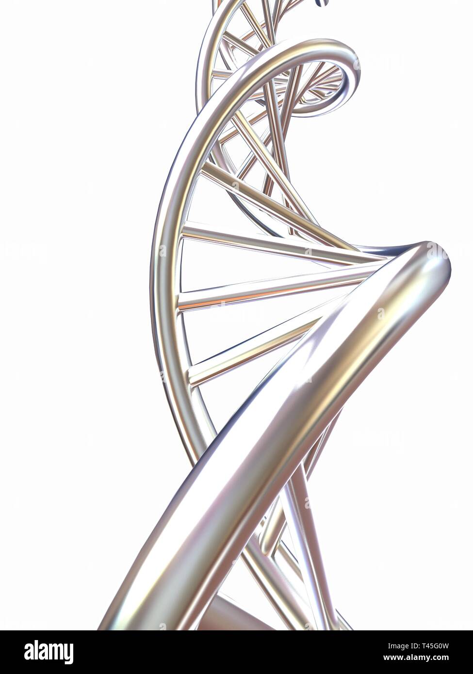 DNA structure model on white Stock Photo - Alamy