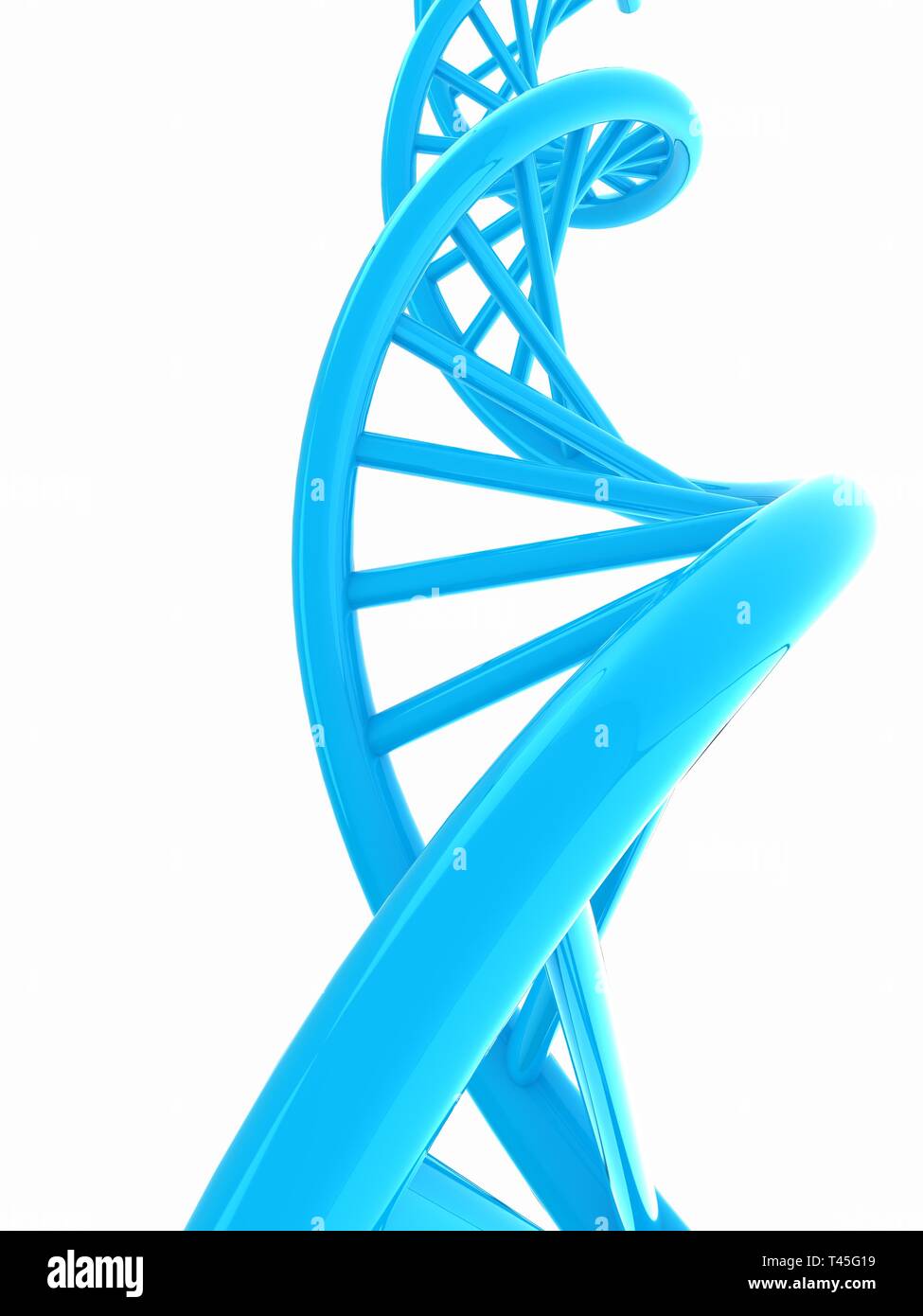 DNA structure model on white Stock Photo - Alamy