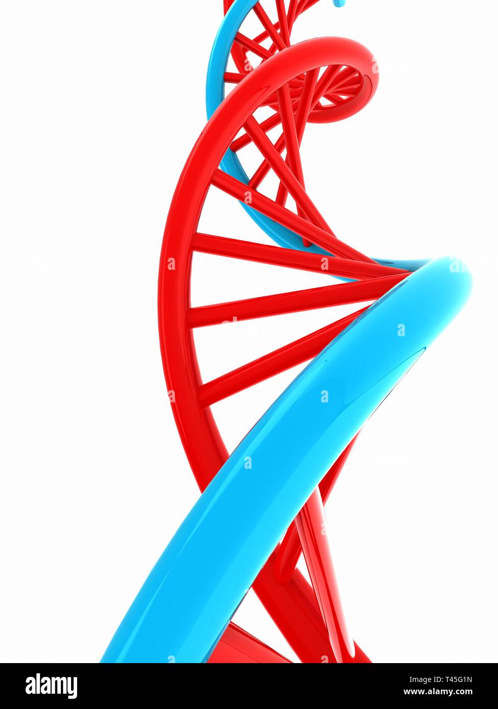 DNA structure model on white Stock Photo - Alamy
