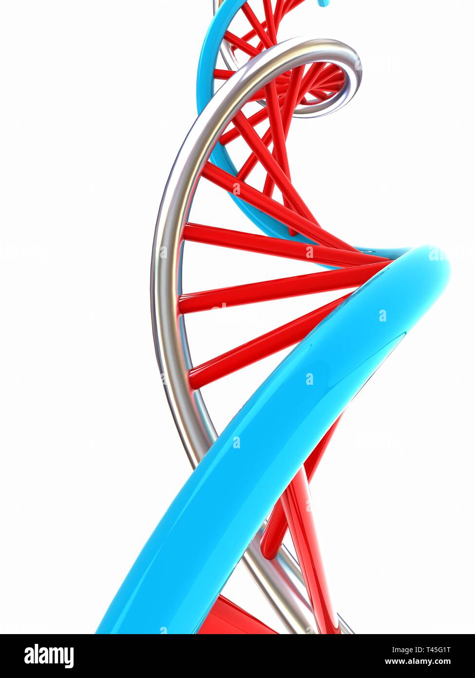 DNA structure model on white Stock Photo - Alamy