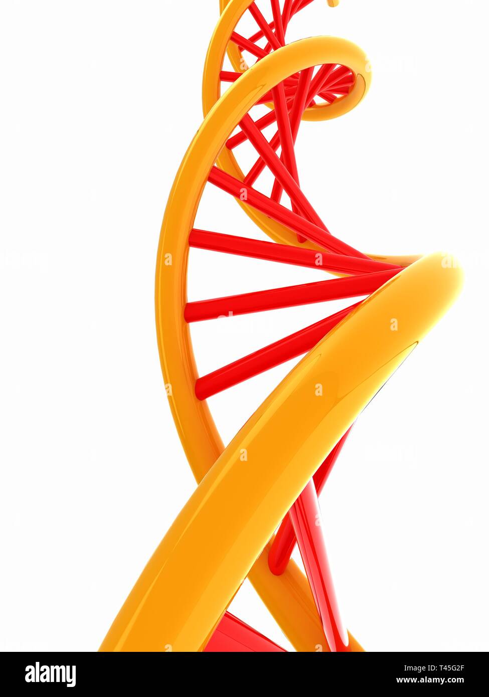 DNA structure model on white Stock Photo - Alamy