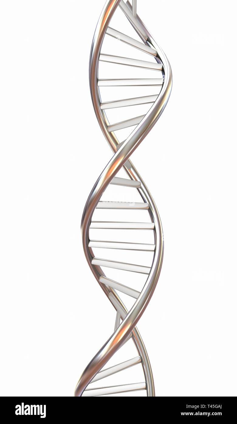 DNA structure model on white Stock Photo - Alamy