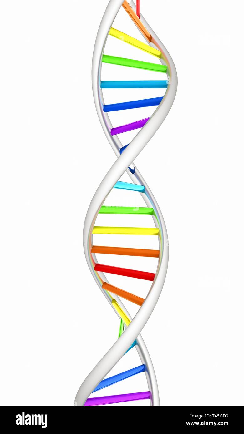 DNA structure model on white Stock Photo - Alamy