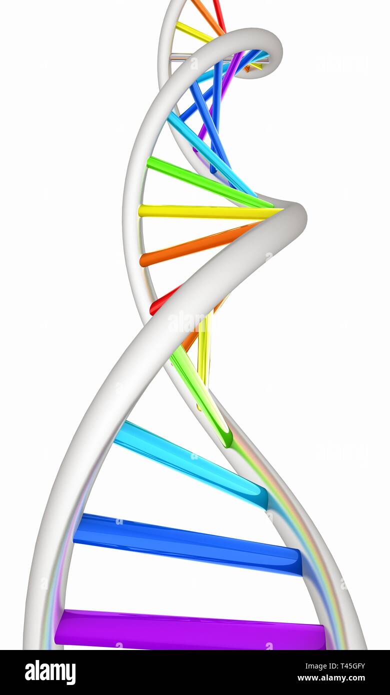DNA structure model on white Stock Photo - Alamy