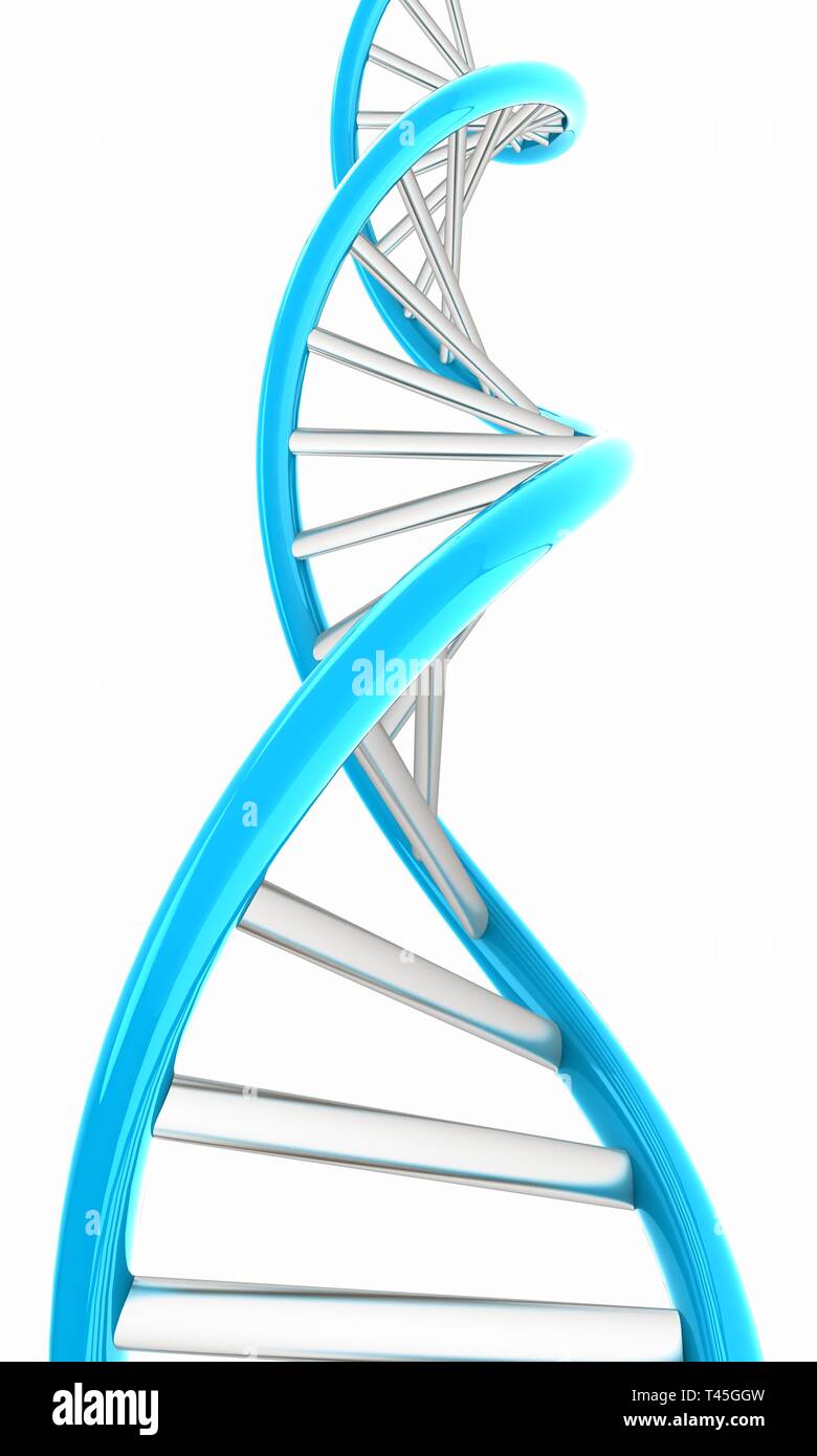 DNA structure model on white Stock Photo - Alamy