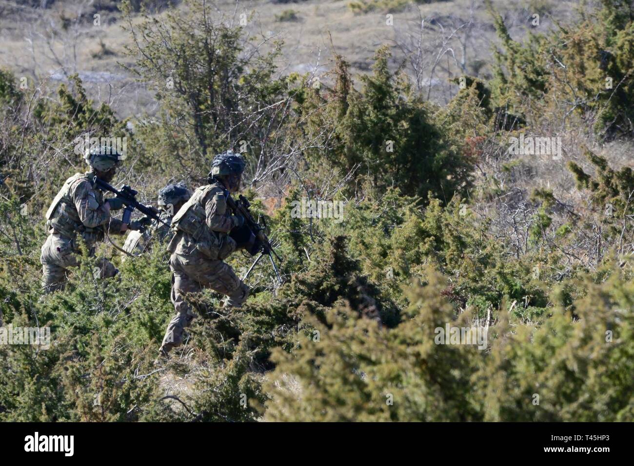 U.S Army Paratroopers assigned to 1st Battalion, 503rd Infantry ...