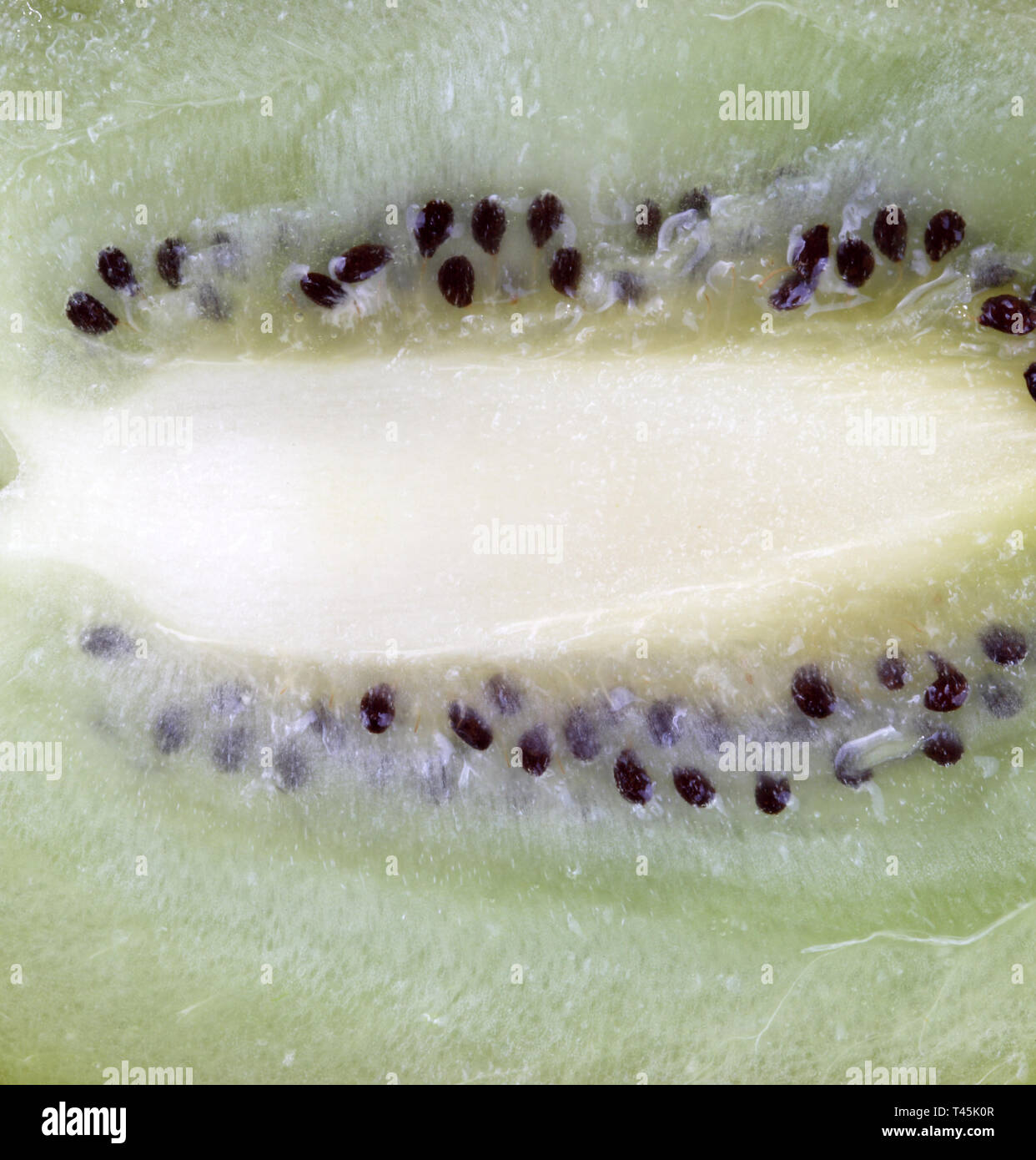 raw kiwi at day Stock Photo - Alamy