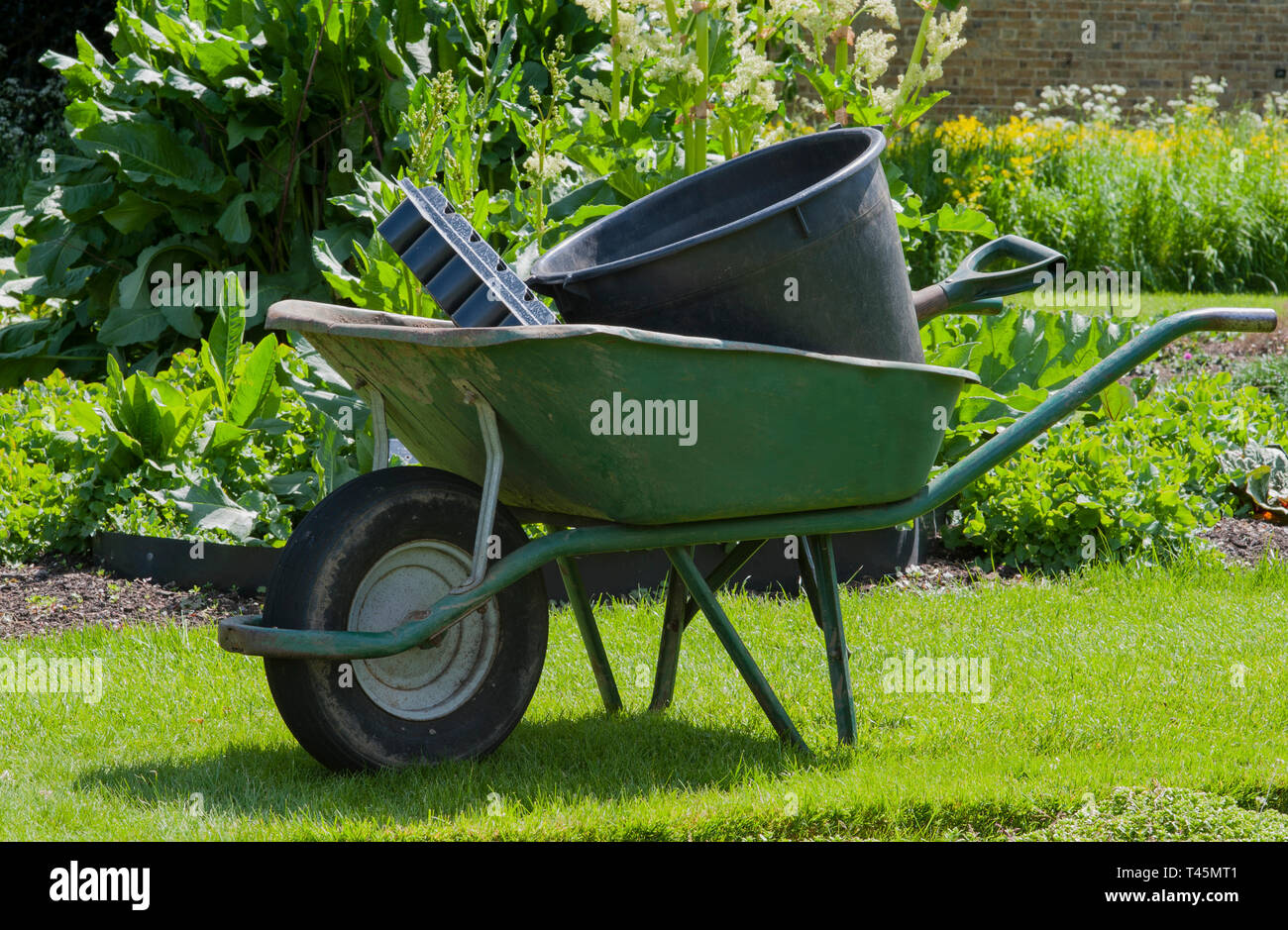 Wheelbarrow with bucket and seedling tray on the grass in a kitchen ...