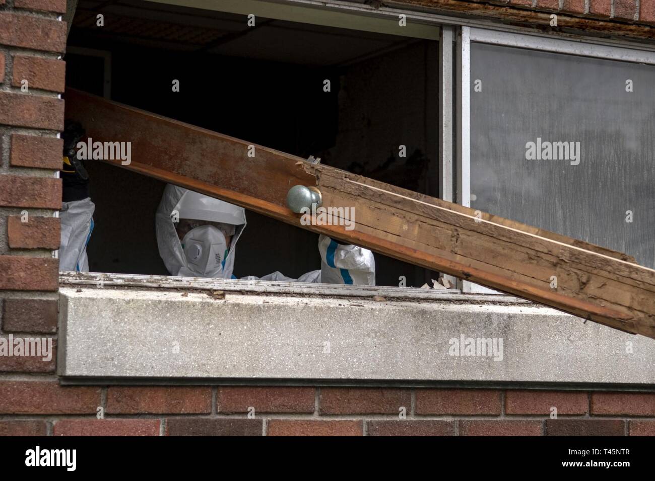 Oatland island wildlife reserve hi-res stock photography and images - Alamy