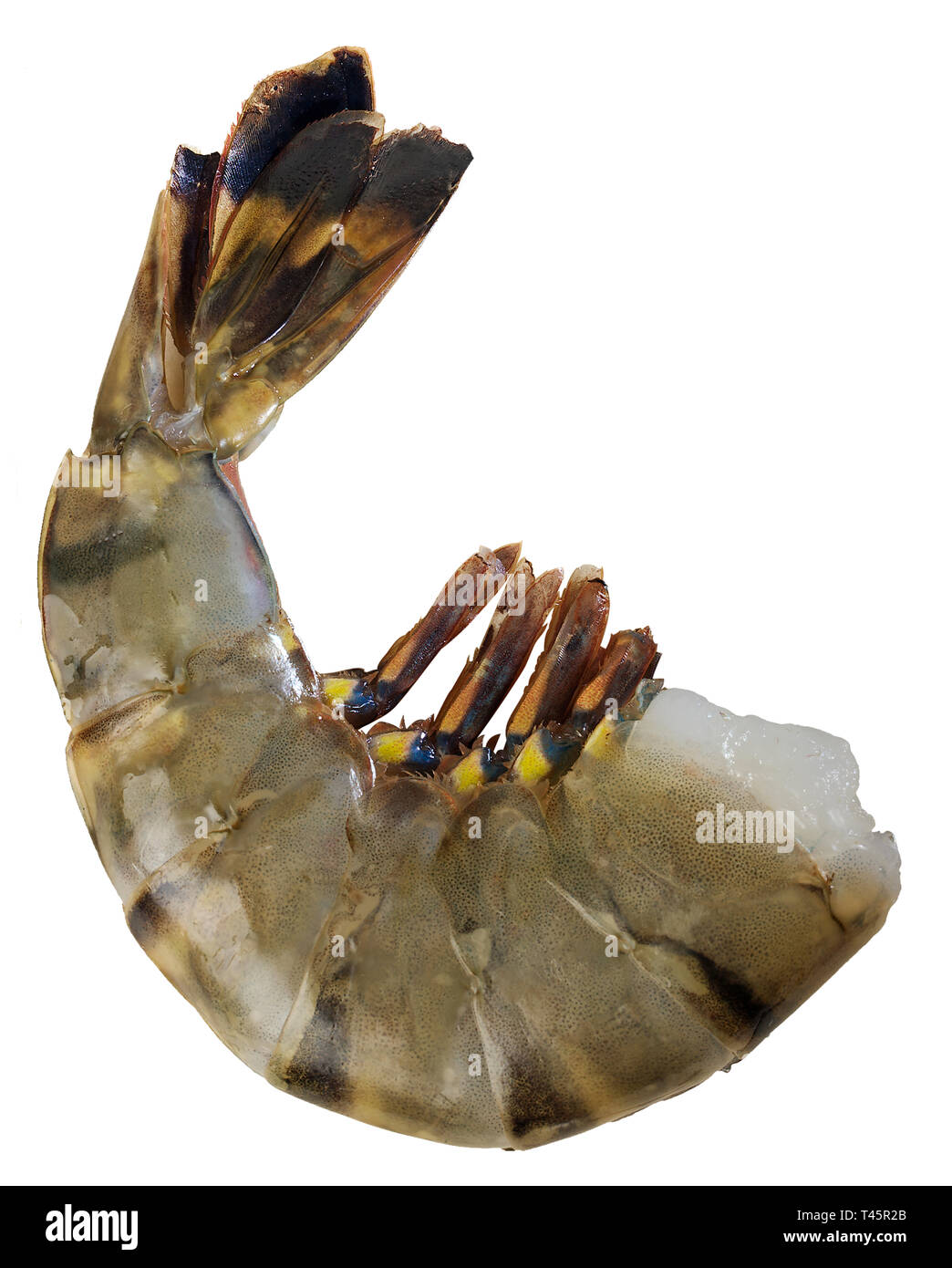 Tiger prawns gourmet seafood Cut Out Stock Images & Pictures - Alamy
