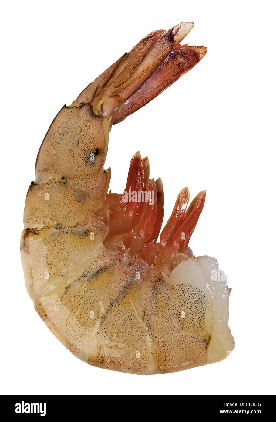 Luxury dinner restaurant view Cut Out Stock Images & Pictures - Alamy