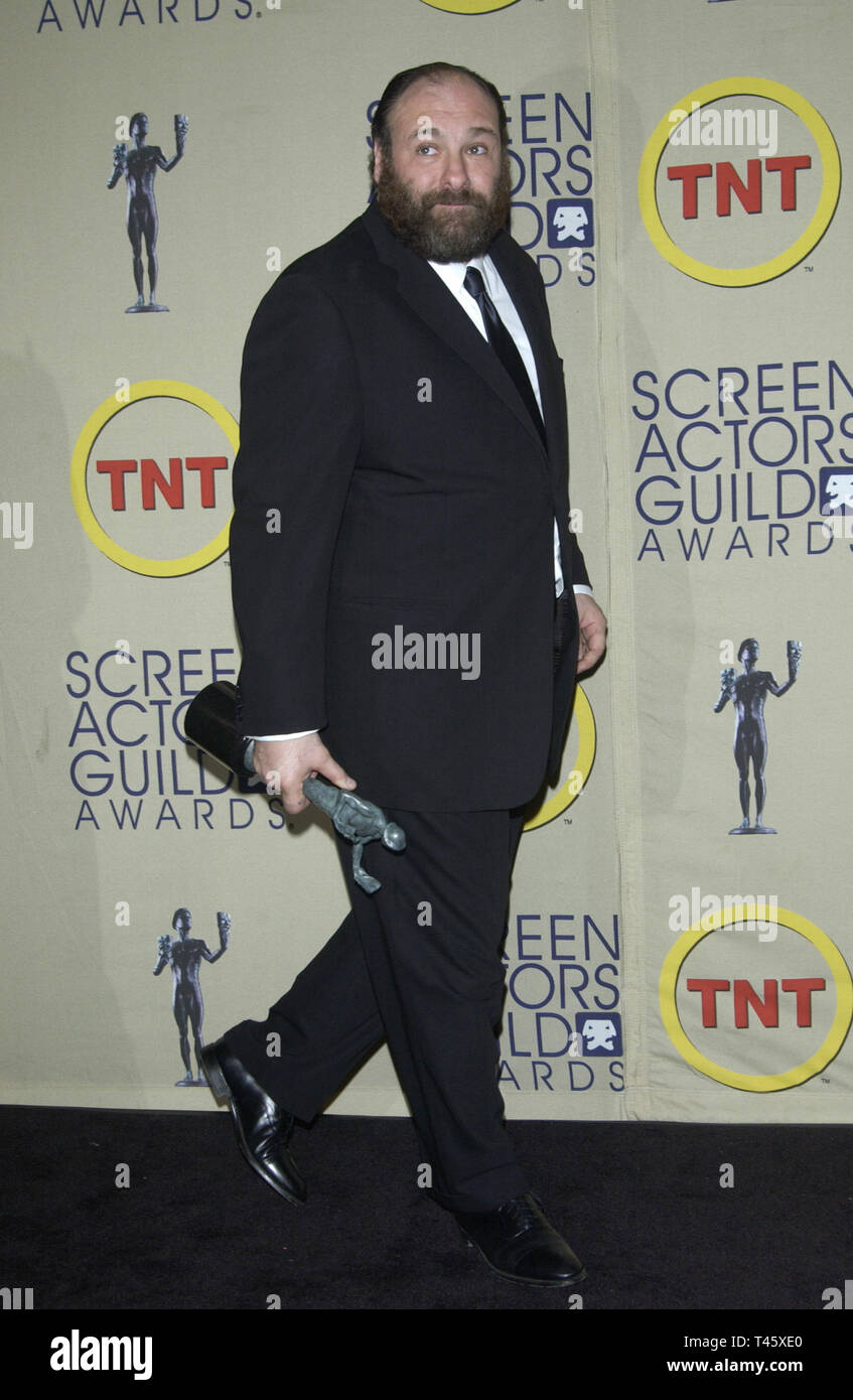 James Gandolfini Skinny