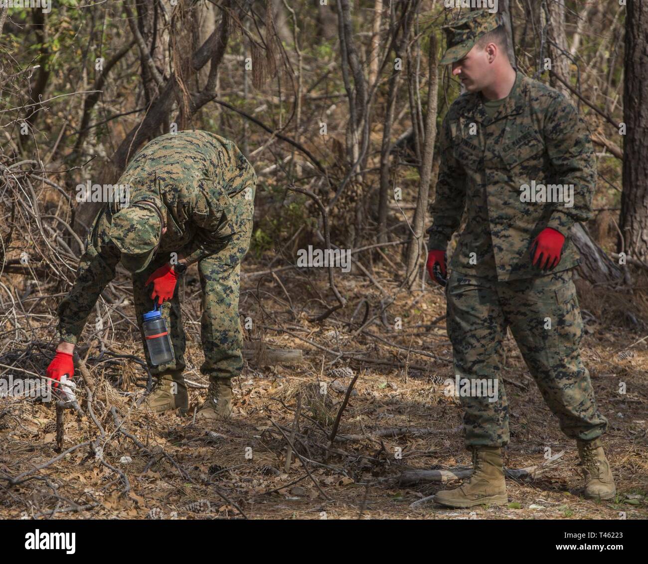 U.S. Marines with Combat Logistics Battalion 2, 2nd Marine Logistics ...