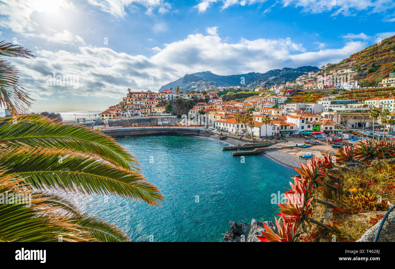 View madeira island hi-res stock photography and images - Alamy