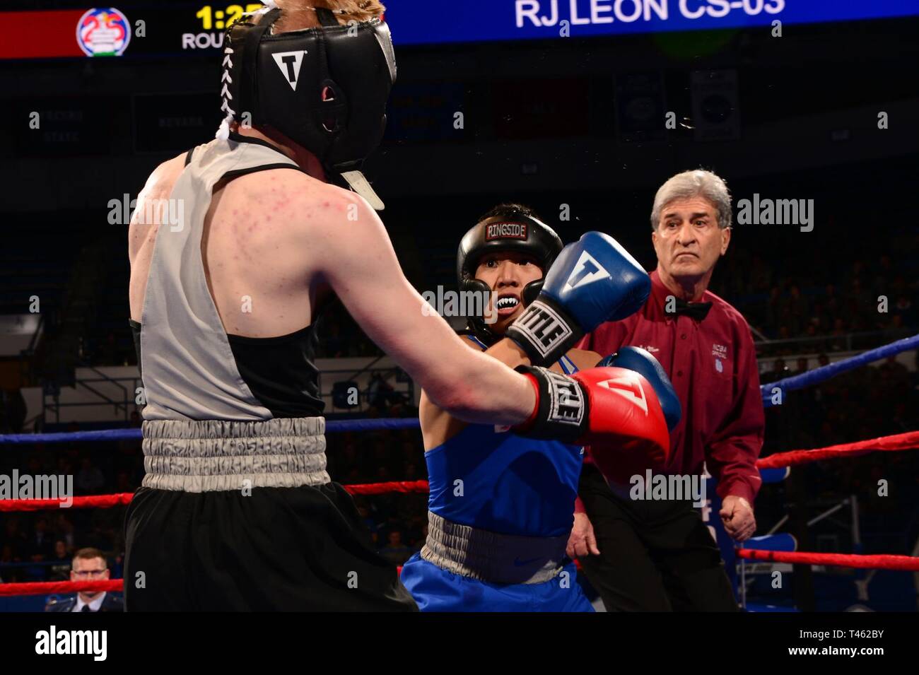 Clune Arena High Resolution Stock Photography and Images - Alamy