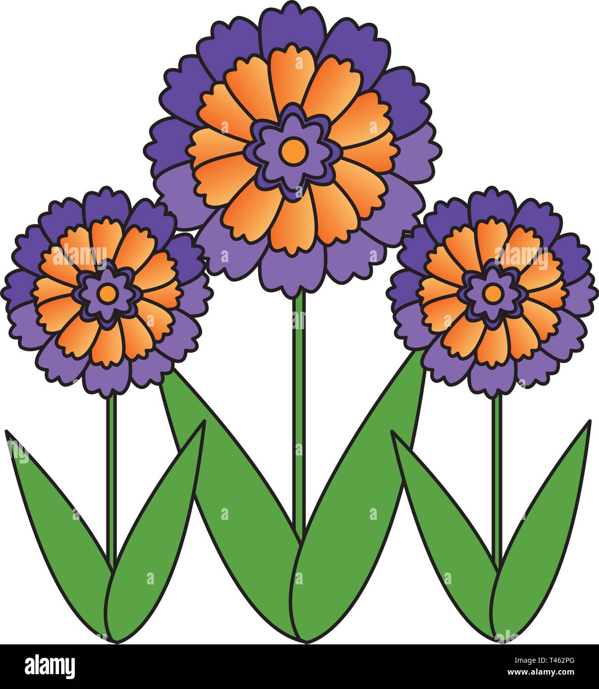 flowers stem leaves Stock Vector Image & Art - Alamy