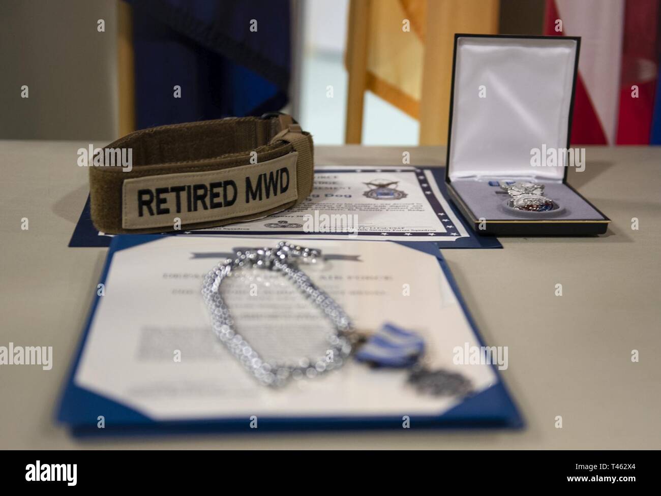 A military working dog collar, service certificates, and badge of ...