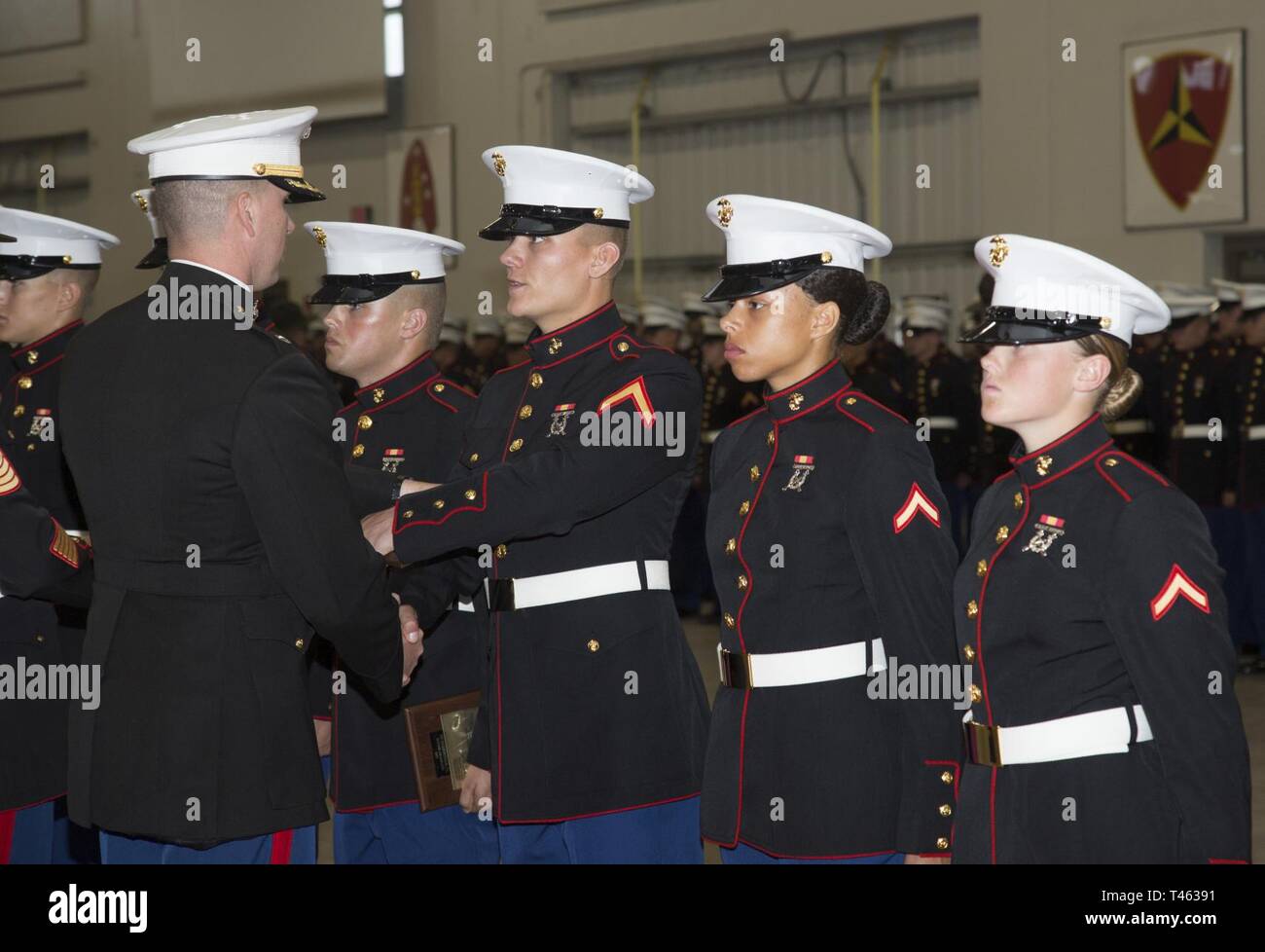 After being transformed by the nation’s toughest boot camp, hundreds of ...