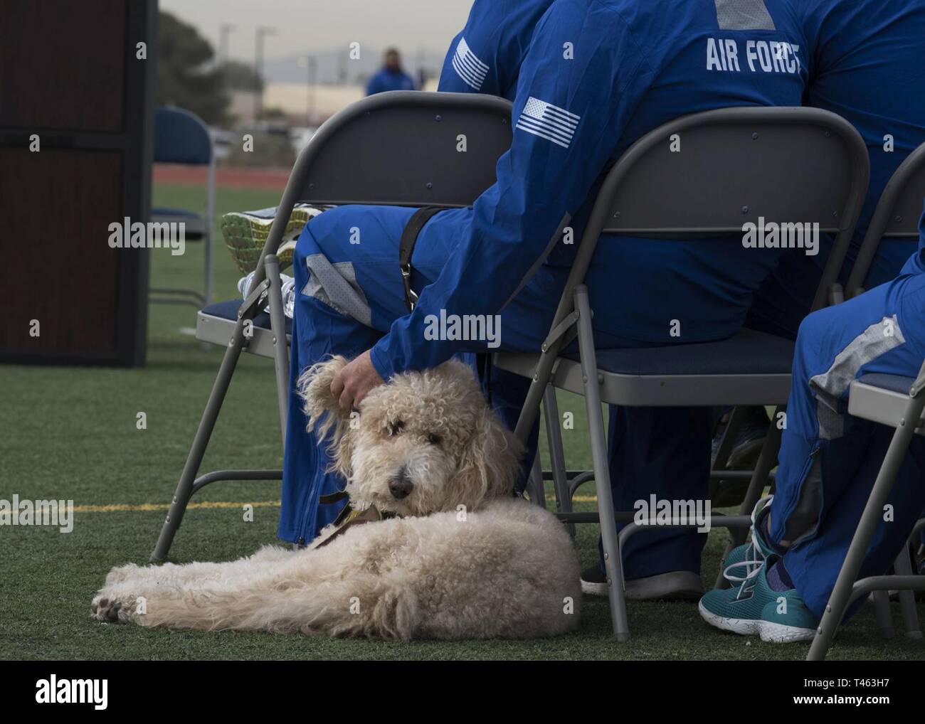 A participant of the U.S. Air Force Trials pets his dog during the ...