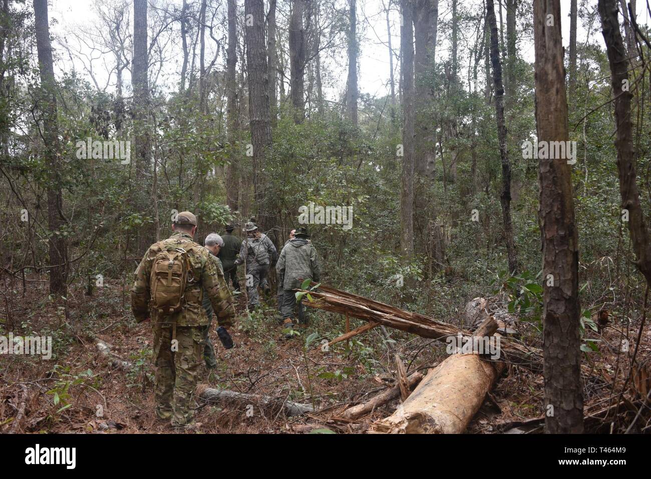 Evade capture hi-res stock photography and images - Alamy