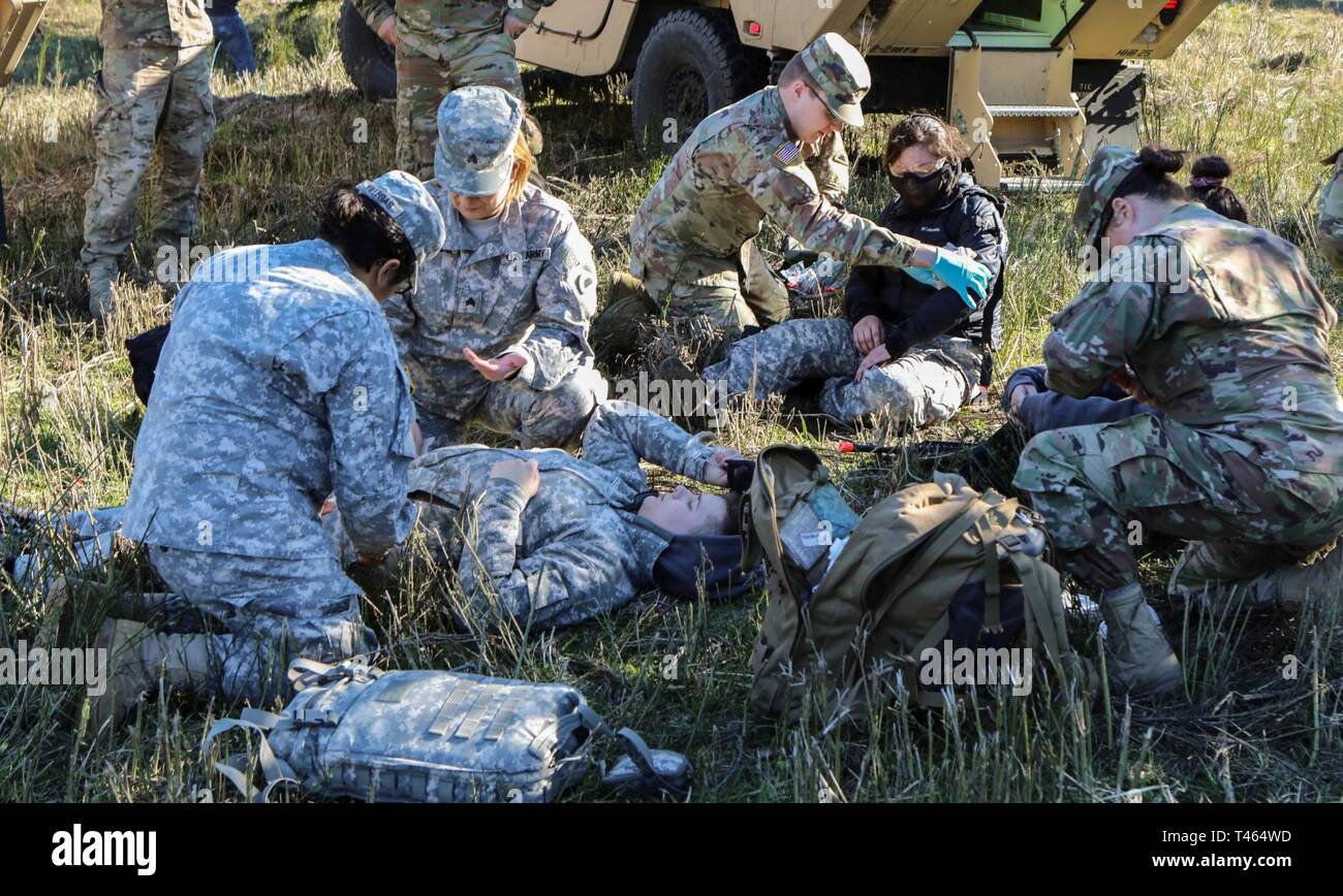 Combat Medics of the 2-218th Field Artillery Regiment demonstrate casualty care and evacuation ...
