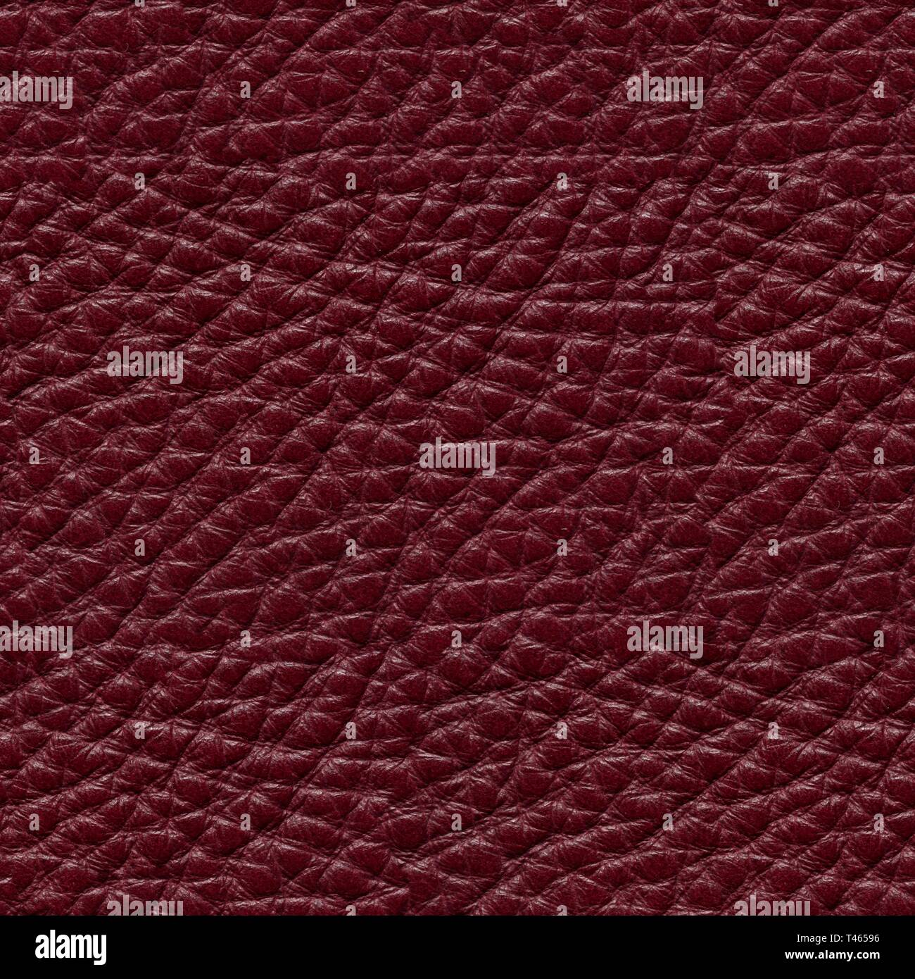 Shiny leather texture in violet tone for background usage Stock Photo ...