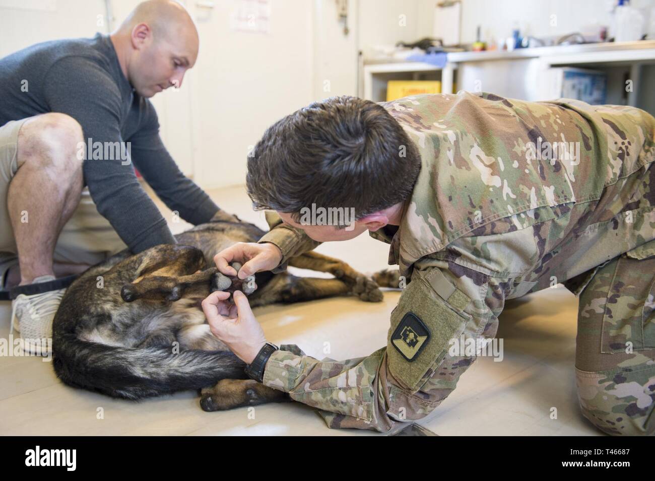 Fanto hi-res stock photography and images - Alamy