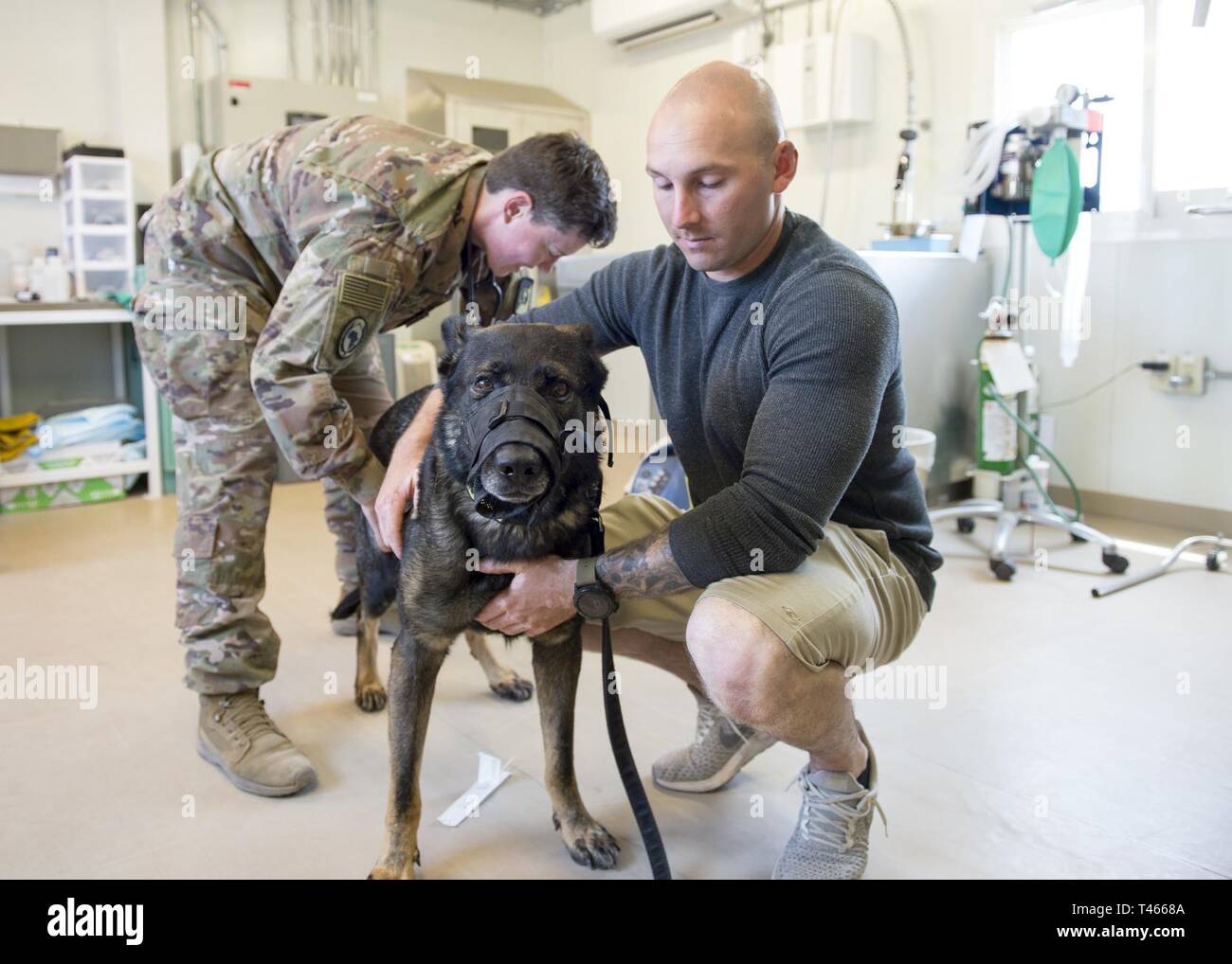 CAMP LEMONNIER, Djibouti – U.S. Army Capt. Lisa Crevoiserat (in uniform ...