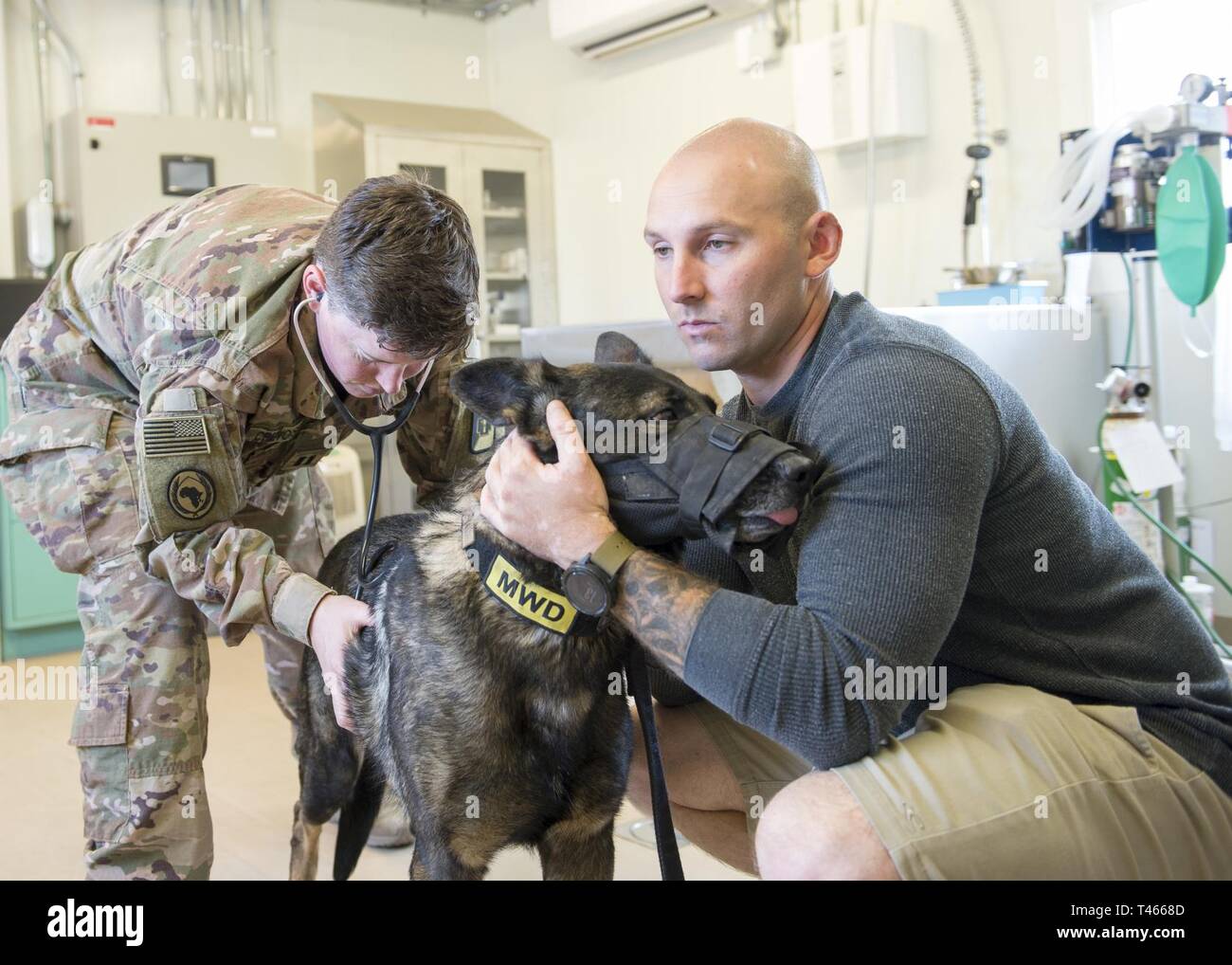 CAMP LEMONNIER, Djibouti – U.S. Army Capt. Lisa Crevoiserat (left), a ...