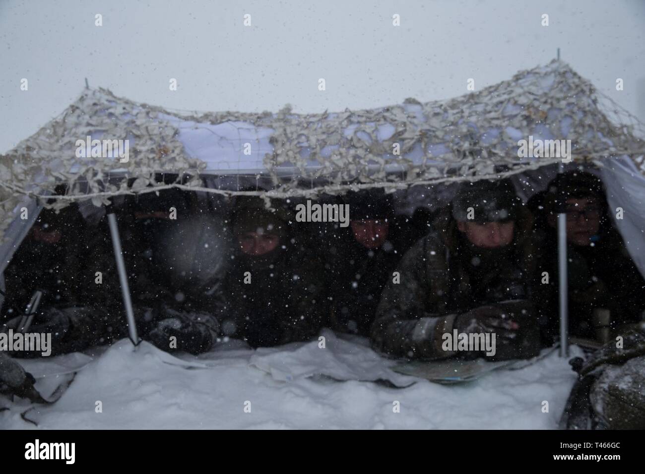 Royal marines in arctic hi-res stock photography and images - Alamy