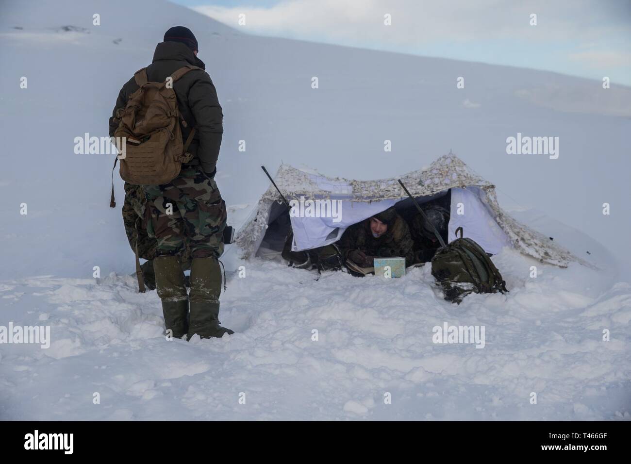 Royal marines in arctic hi-res stock photography and images - Alamy
