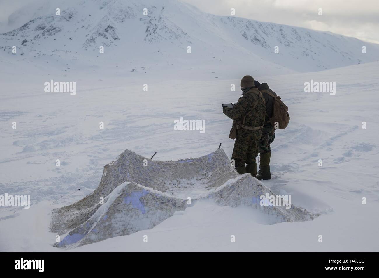 Royal marines in arctic hi-res stock photography and images - Alamy