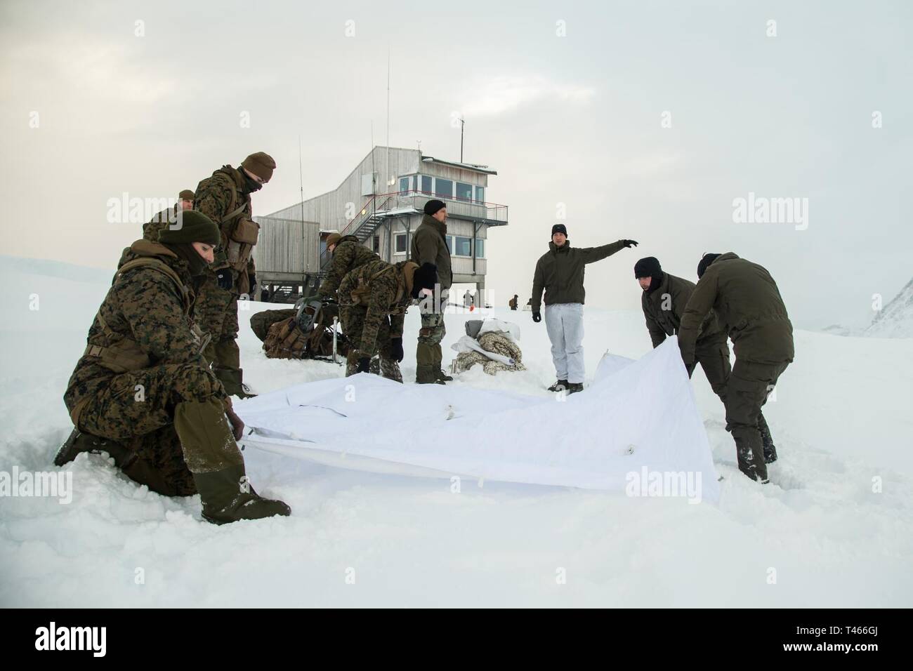 U.S. Marines with 2nd Air Naval Gunfire Liaison Company and Royal Dutch ...
