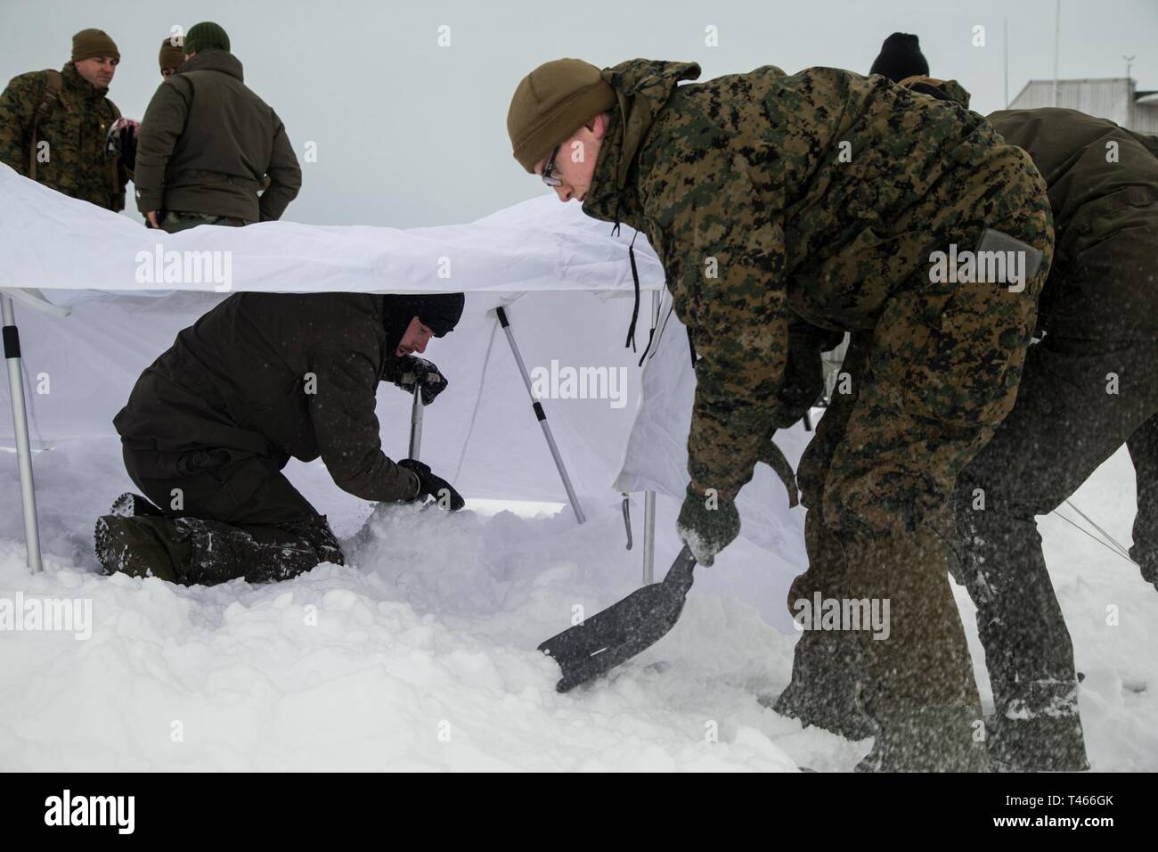 U.S. Marines with 2nd Air Naval Gunfire Liaison Company and Royal Dutch ...