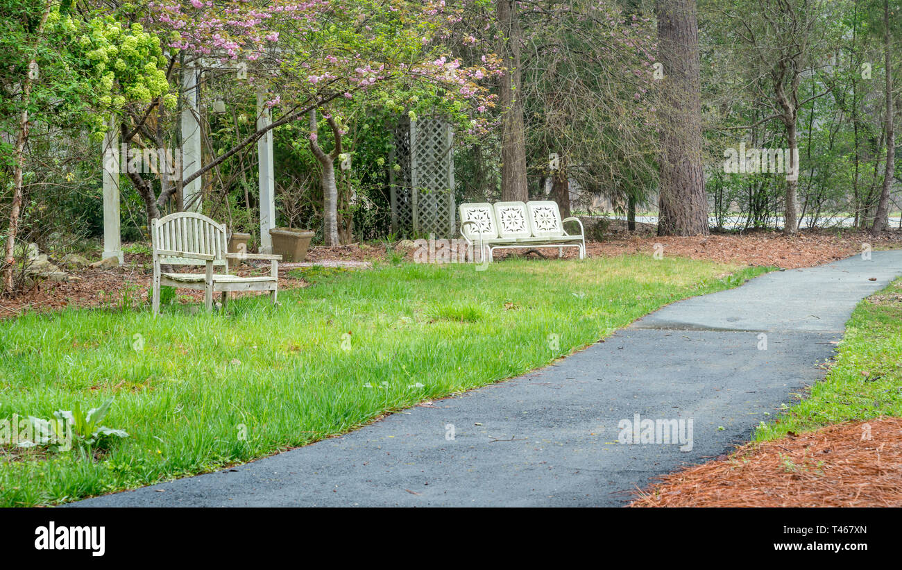 Two wooden benches next to a path on a quiet morning Stock Photo - Alamy