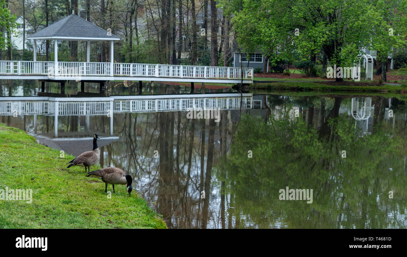 Bridge going over pond hi-res stock photography and images - Alamy