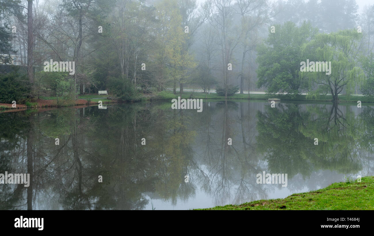 Reflection of bench and trees on pond on foggy morning Stock Photo - Alamy