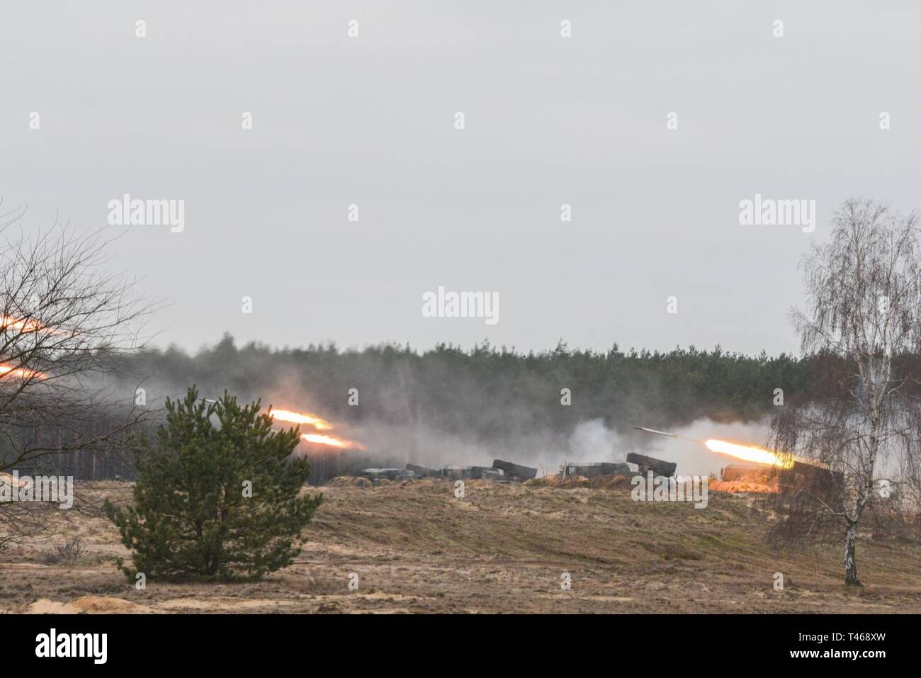 Langusta hi-res stock photography and images - Alamy