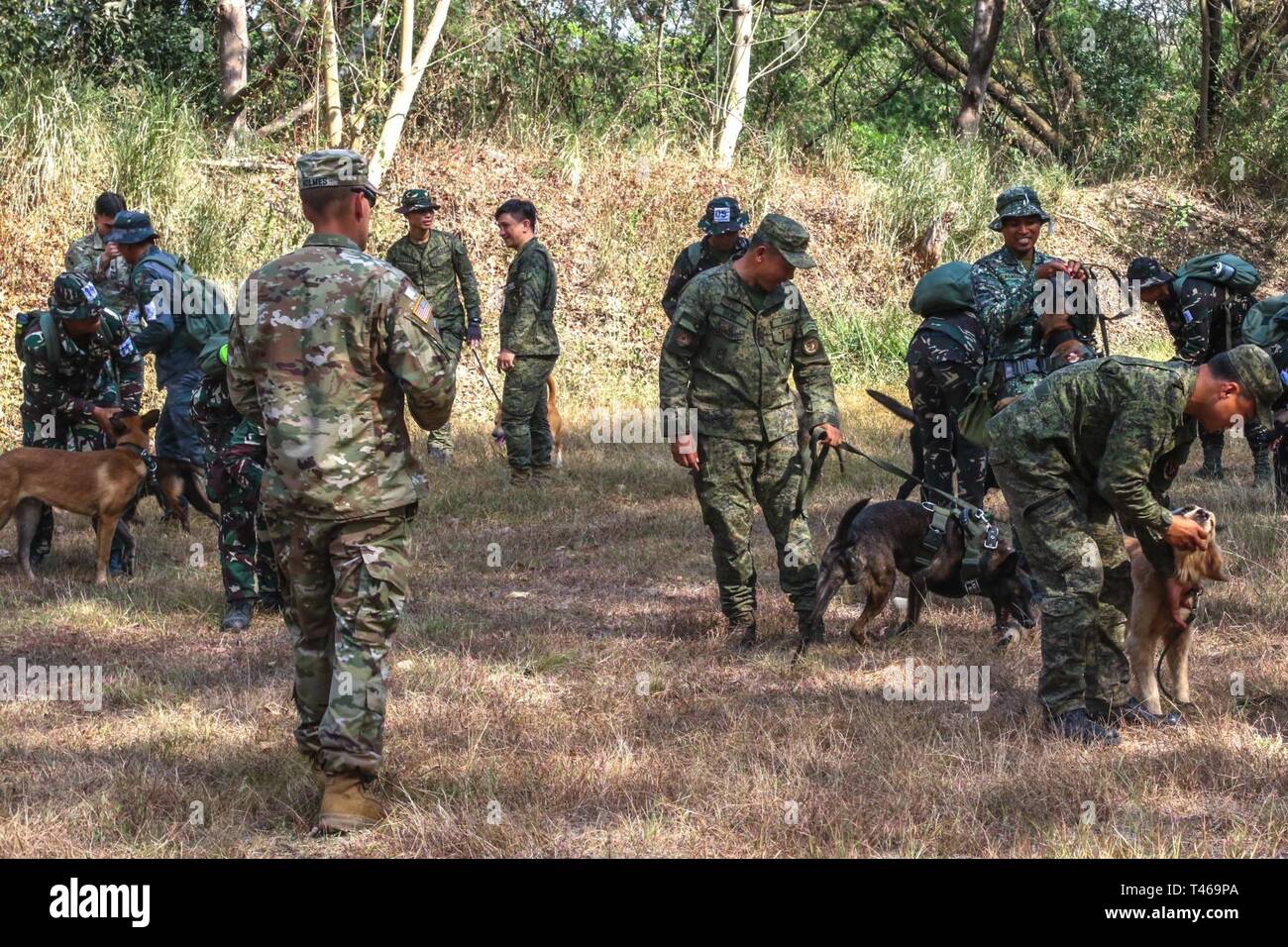 Staff Sgt. Michael Holmes, the MWD Plans NCO from the 520th Working Dog ...
