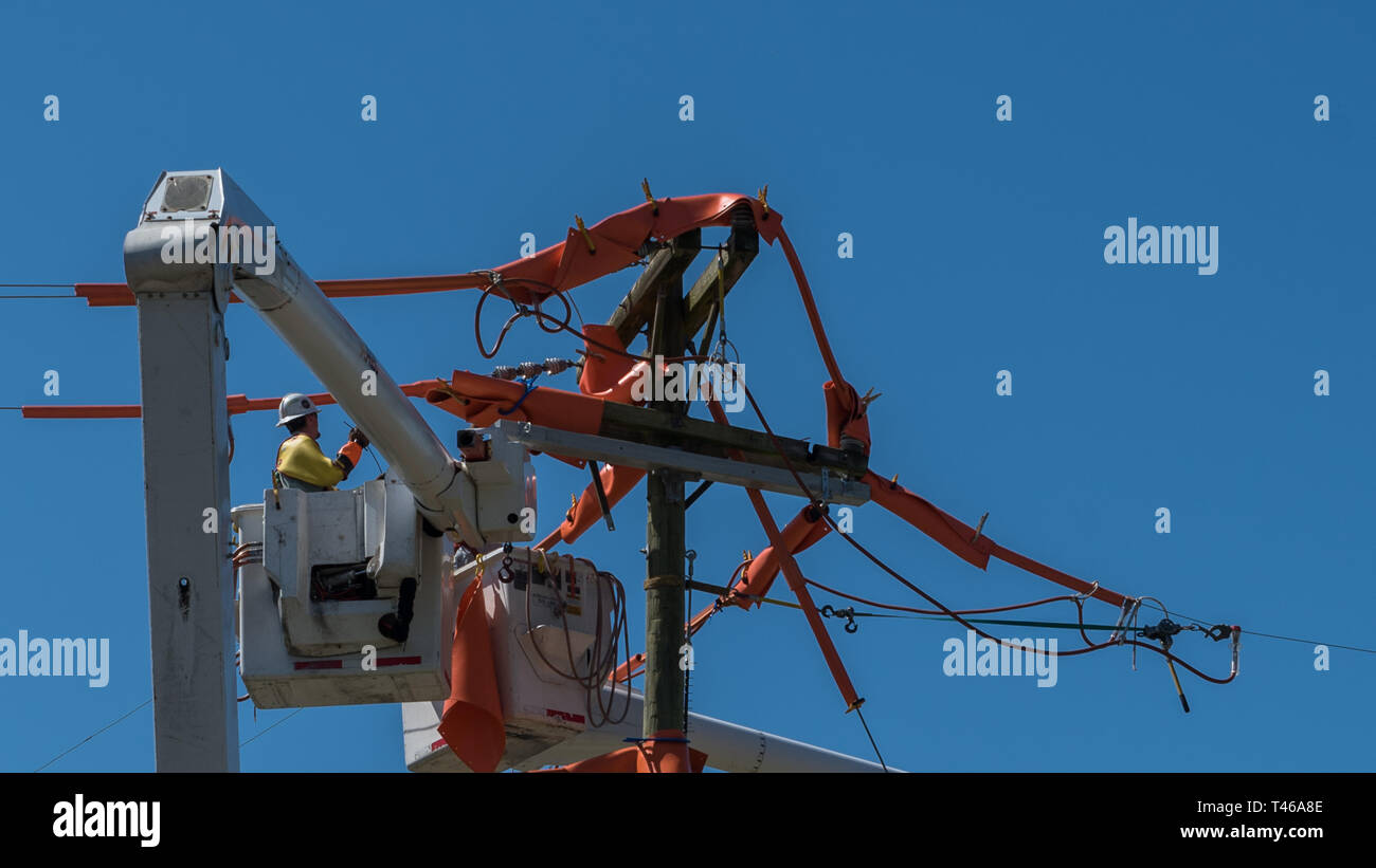 men in bucket on extended cherry pickers repairing electric wires Stock ...