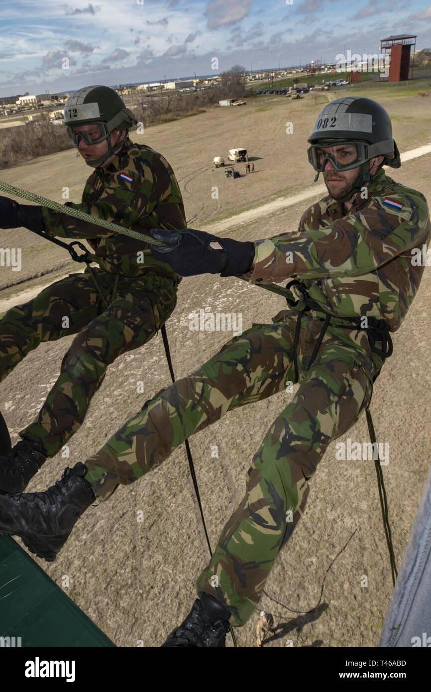 Netherlands service members rappel from a UH-60 Blackhawk during phase ...