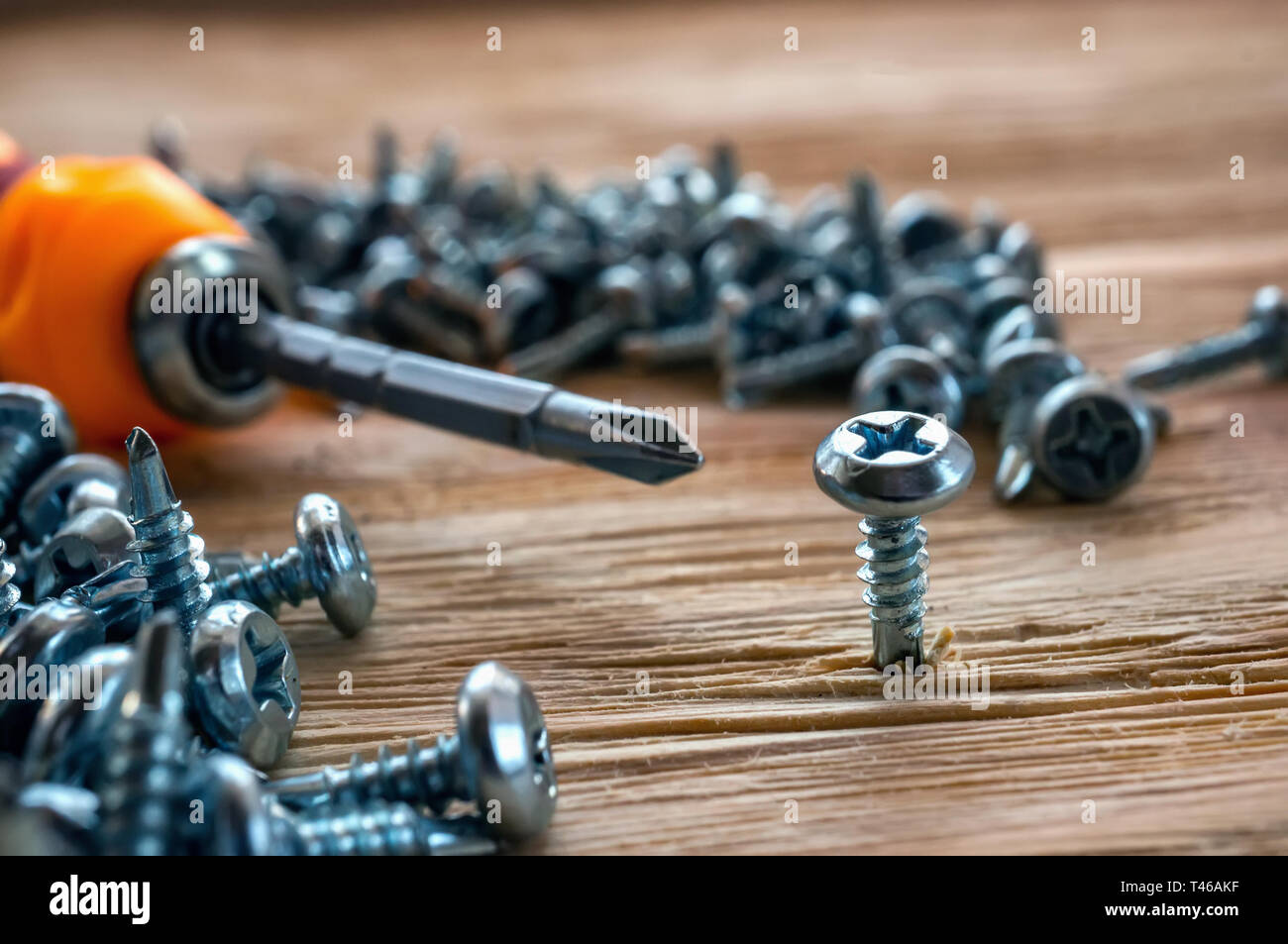Manual screwdriver screws and dowels on a wood background Stock Photo ...