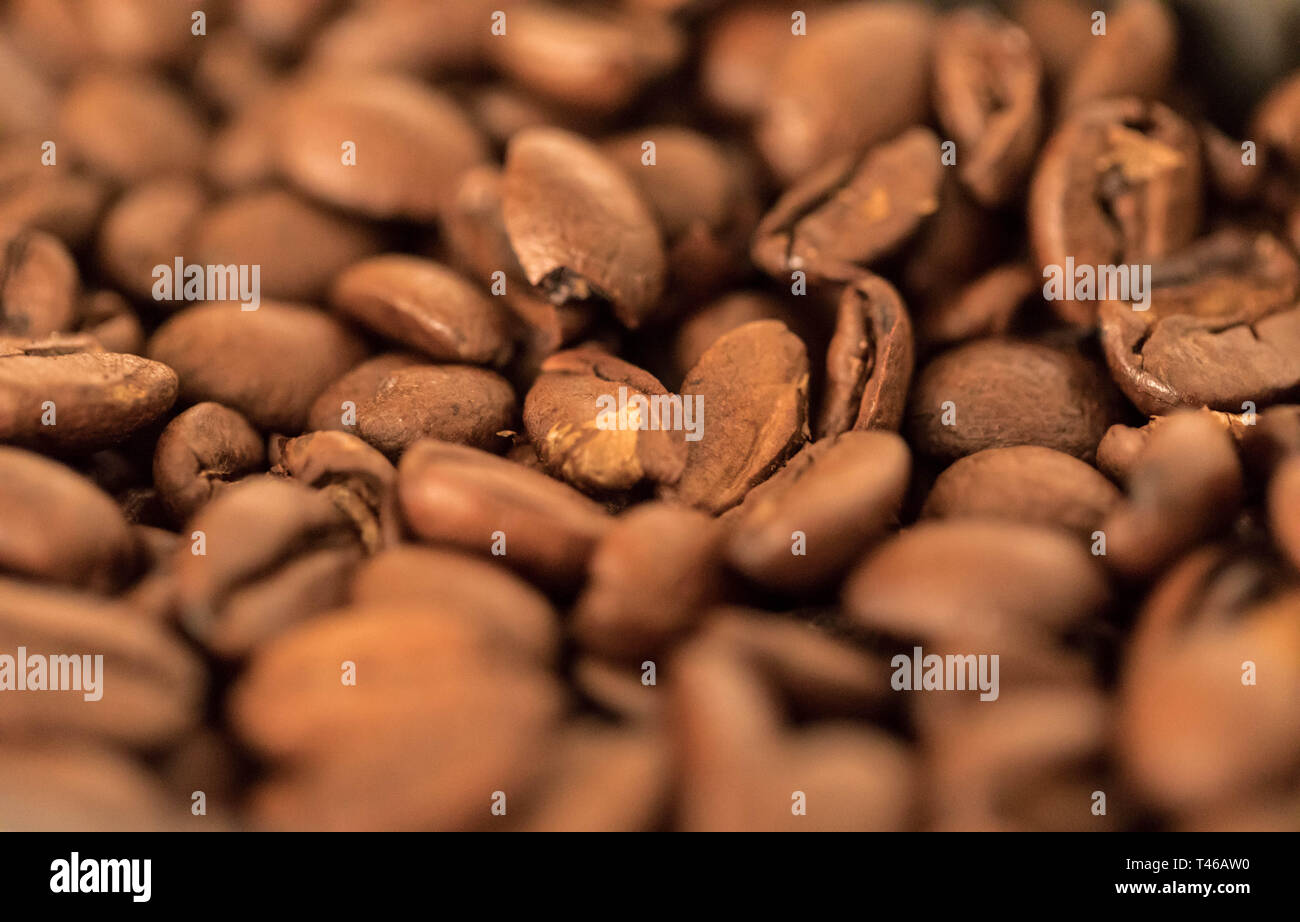 Madagascar Robusta Coffee