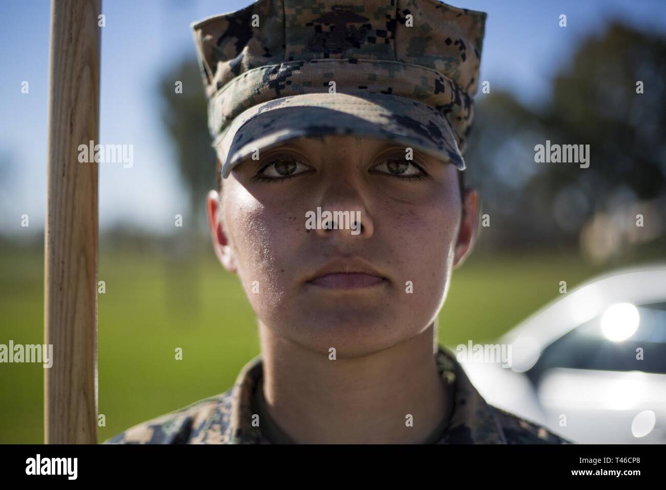 Task Force Sword High Resolution Stock Photography and Images - Alamy