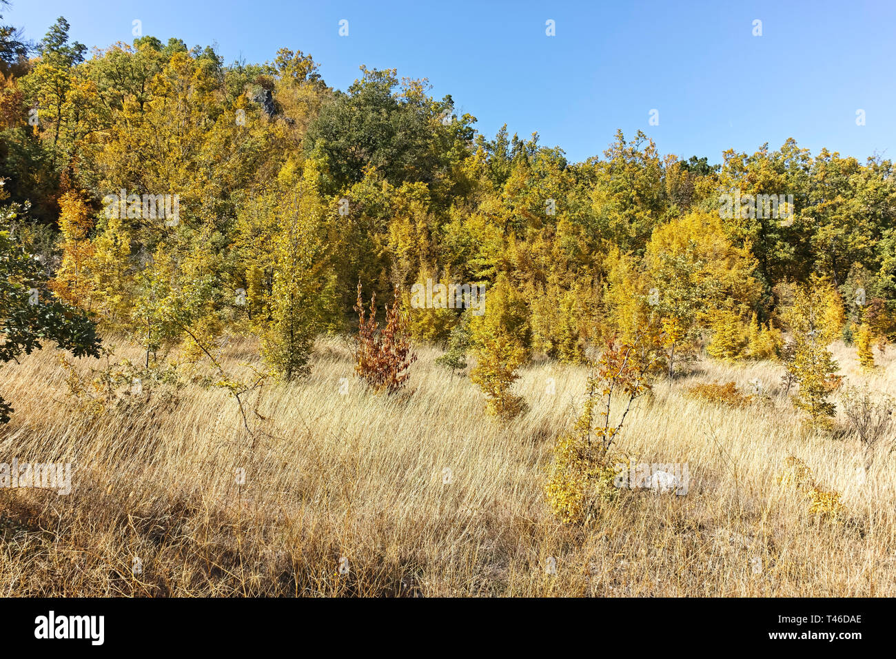 Amazing Autumn landscape of Ruen Mountain - northern part of Vlahina ...