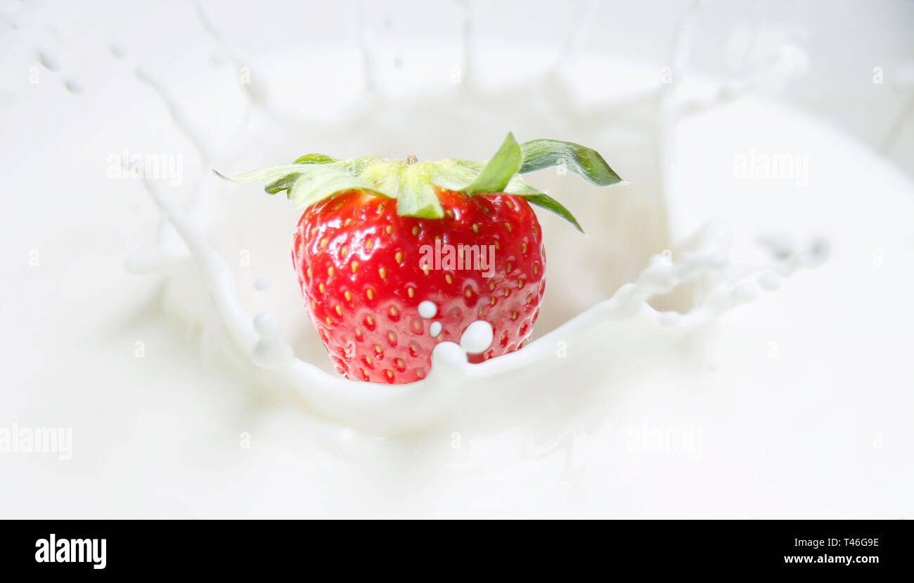 Drops of milk hi-res stock photography and images - Alamy